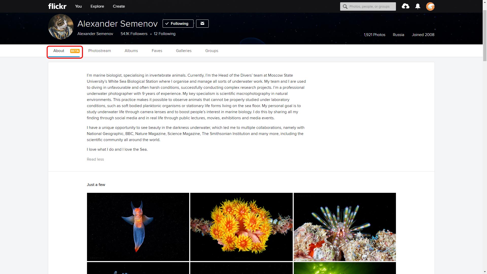 Top 13 trang web tải ảnh chất lượng cao, đẹp và miễn phí chắc chắn bạn ...